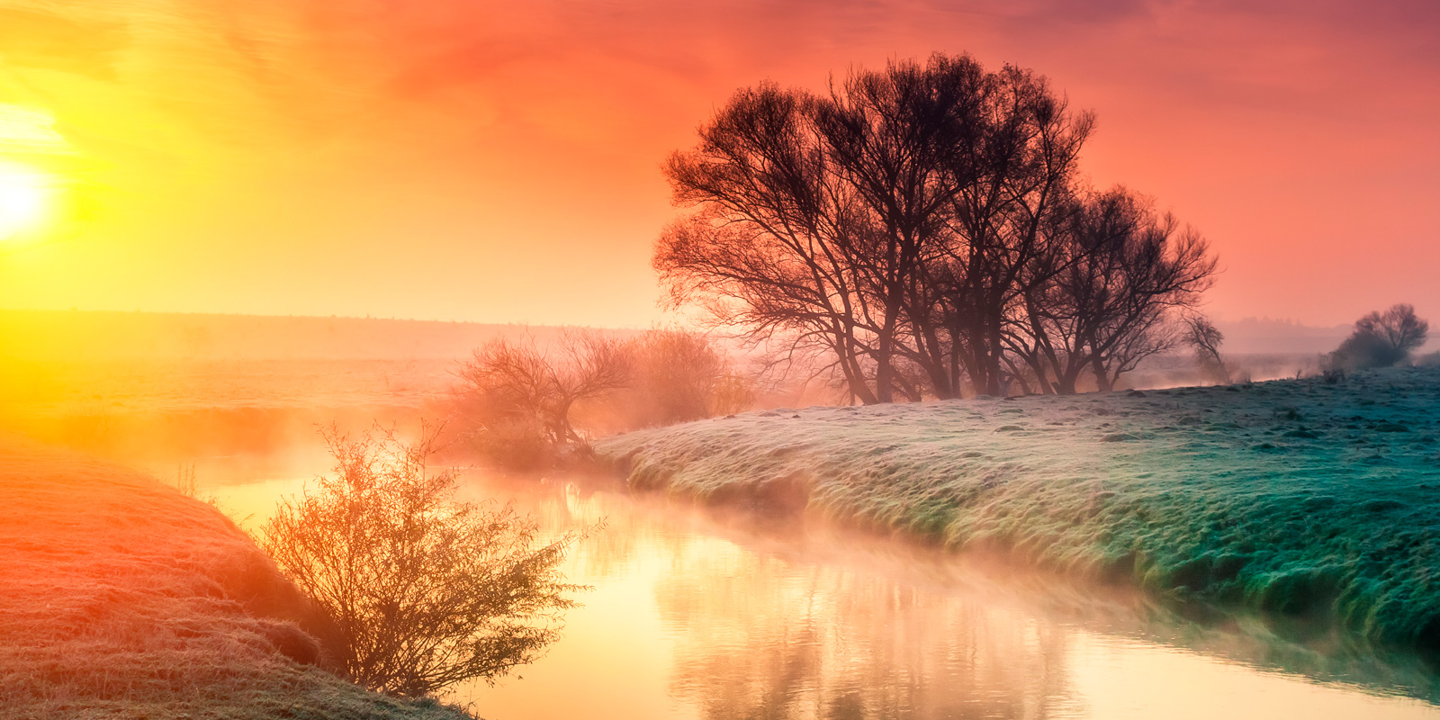 Phoenix Mining & Trading Multi services sarl